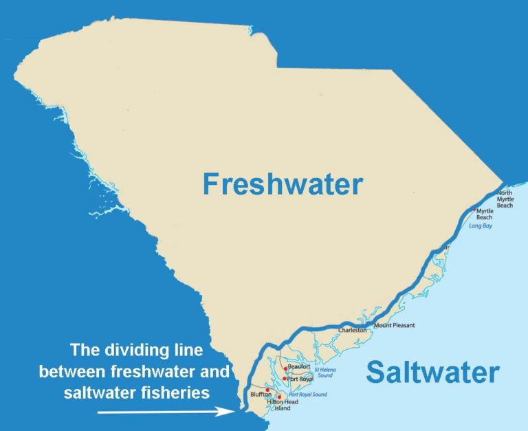 14-Day Freshwater Fishing License