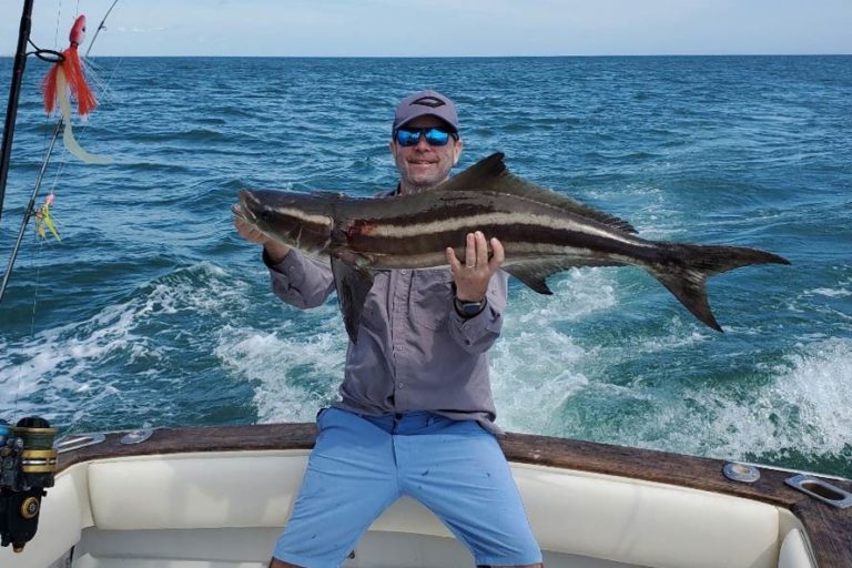 How to Fish for Cobia in Florida: The Complete Guide for 2024
