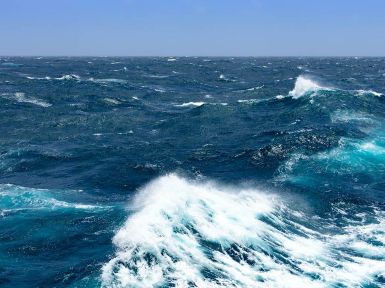 Tuna Fishing in New Jersey: The Complete Guide for 2024