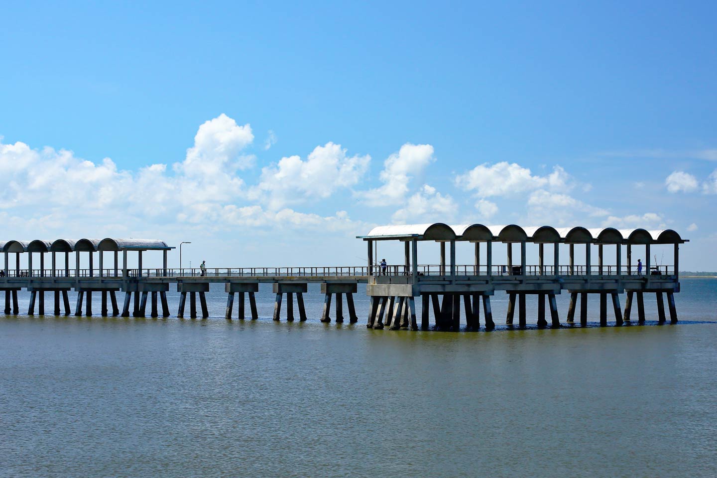 Fishing in GEORGIA: The Complete Guide