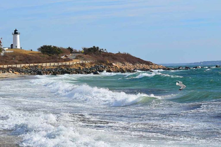 Fishing in CAPE COD: The Complete Guide [VIDEO]