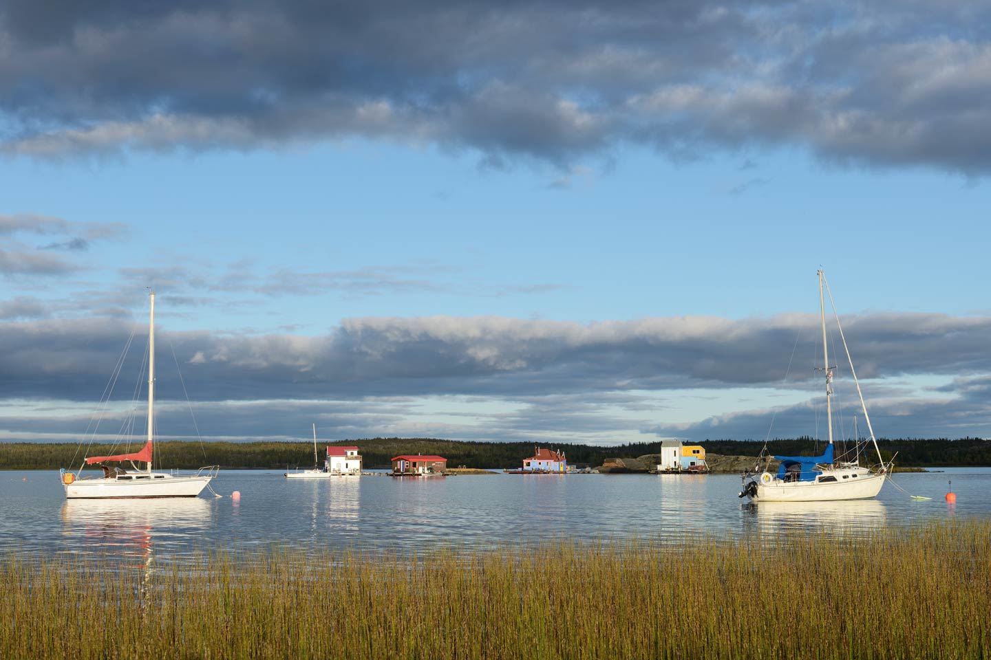 How to Fish for Lake Trout: The Complete Guide for 2025