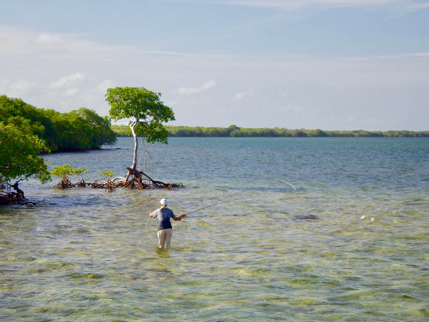 How to Fish for Tarpon in Florida Keys: The Complete Guide for 2026