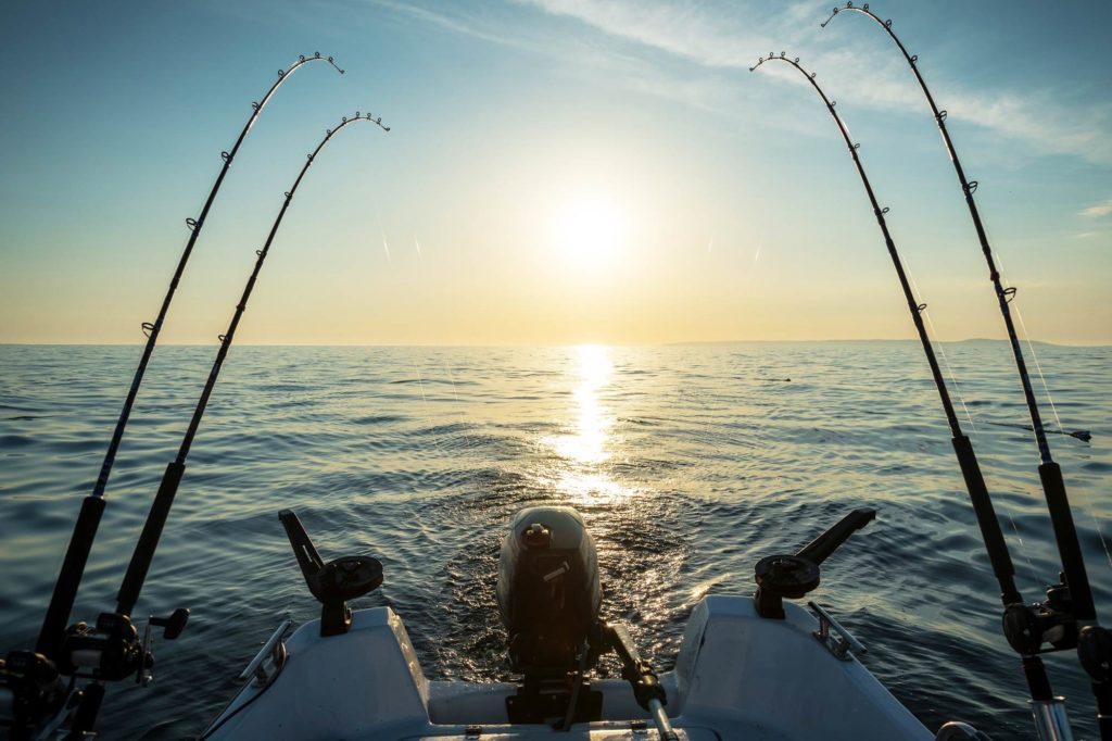 How to Fish for Wahoo: The Complete Guide for 2024