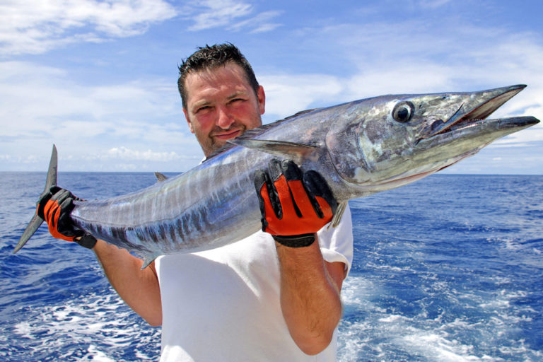 How to Fish for Wahoo: The Complete Guide for 2023
