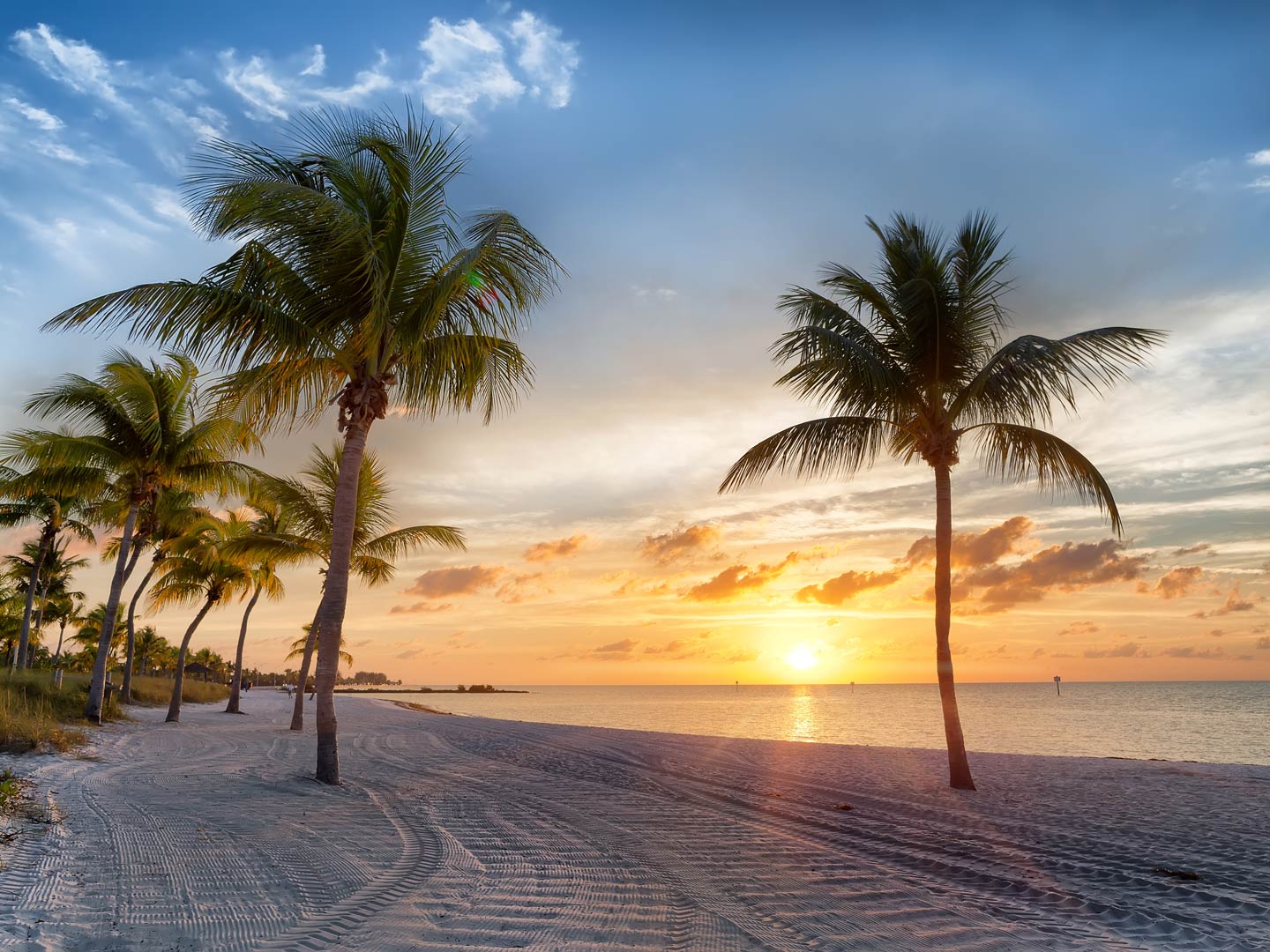 Deep Sea Fishing in Key West: The Complete Guide for 2026 [VIDEO]