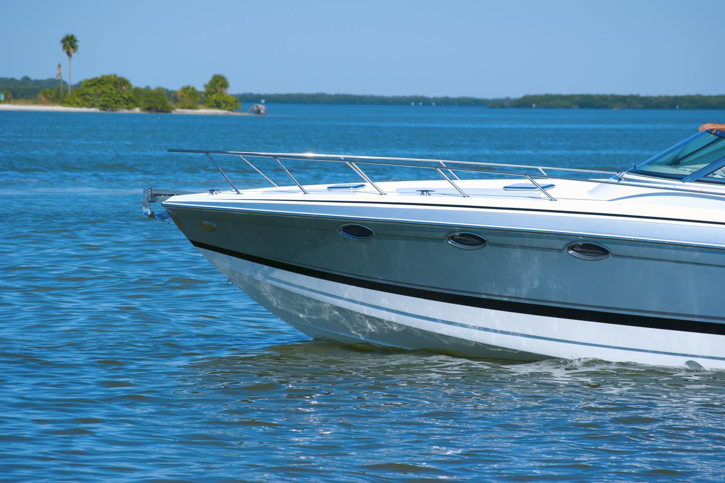 How to Fish for Shark in Florida: The Complete Guide for 2024