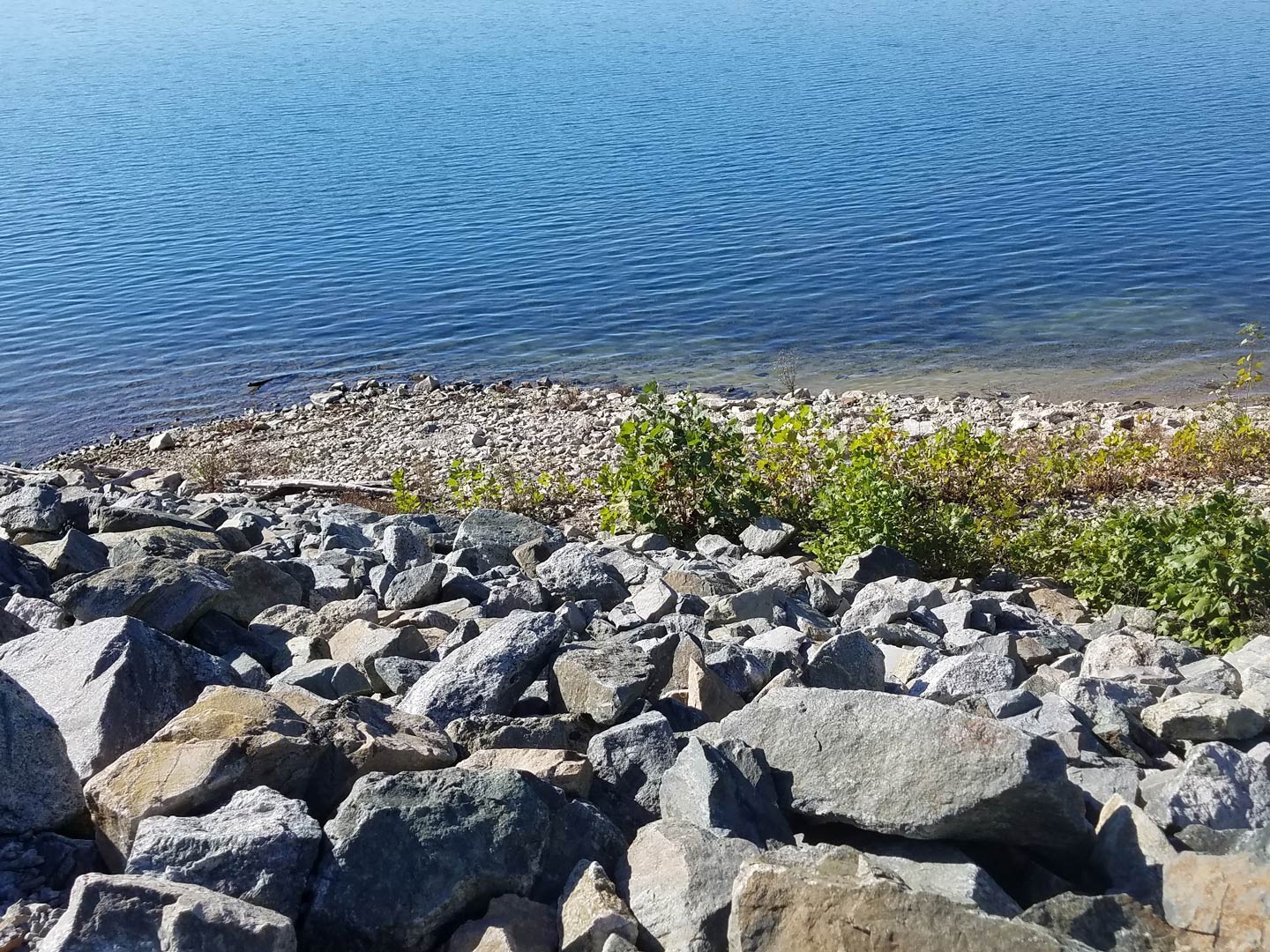 Top Fishing Spots in New Jersey for 2026