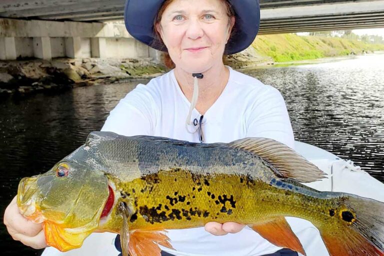 How to Fish for Bass in Florida: The Complete Guide for 2026