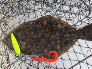 Spoon Fishing Lures: A Beginner’s Guide for 2026