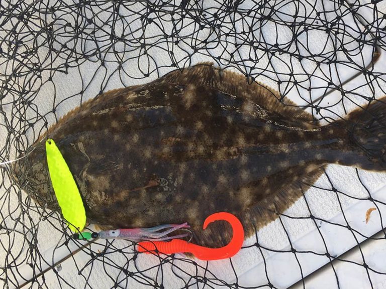 Best Bait for Flounder and How to Use It