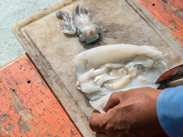 Best Bait for Flounder and How to Use It