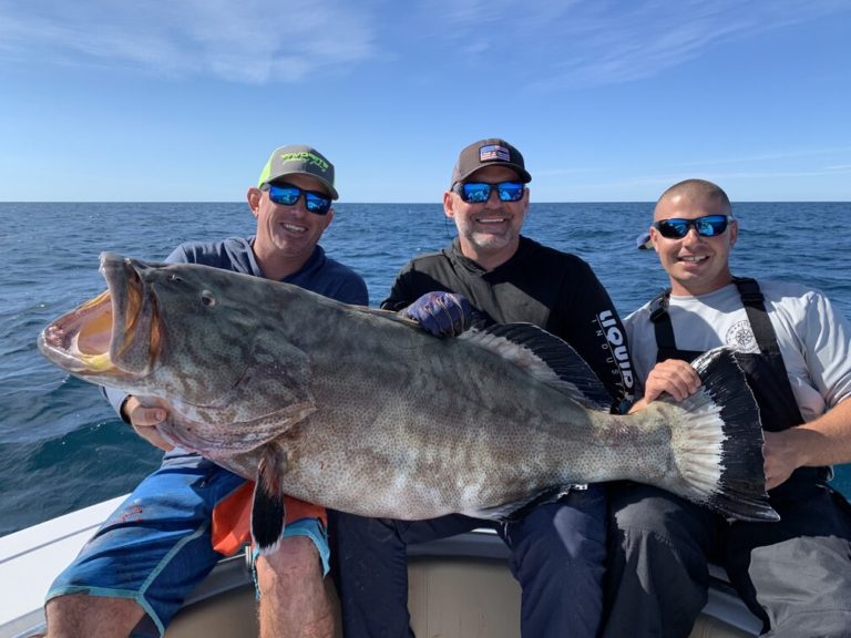 How to Fish for Grouper in Florida: The Complete Guide for 2024