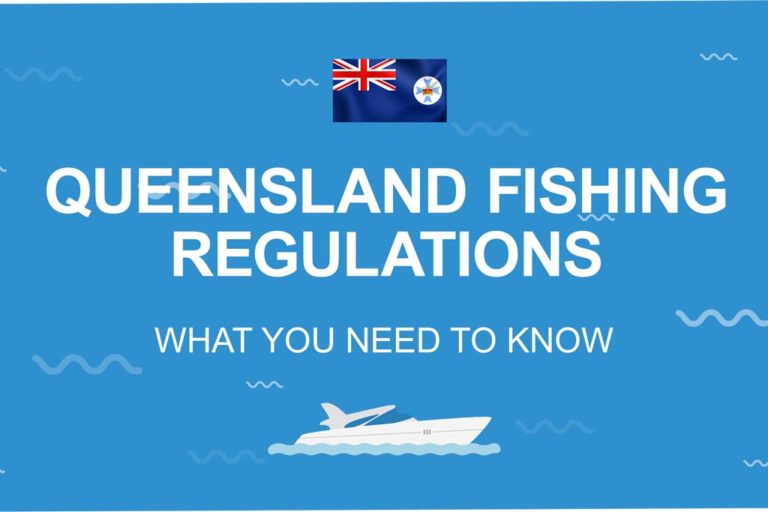 Fishing in QUEENSLAND: The Complete Guide