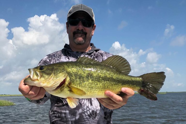 Best Largemouth Bass Lures: Top Picks and How to Use Them in 2026