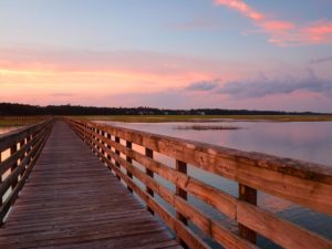 FishingBooker: Murrells Inlet Fishing: The Complete Guide for 2024