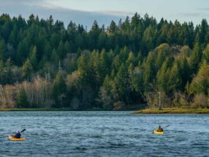 Fishing in SEATTLE: The Complete Guide [VIDEO]