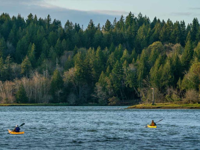 Fishing in SEATTLE: The Complete Guide [VIDEO]