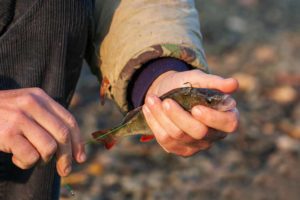 How to Go River Fishing: The Complete Guide