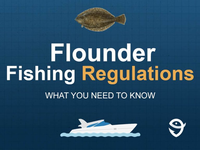 New Jersey Flounder Season: The Complete Guide for 2026