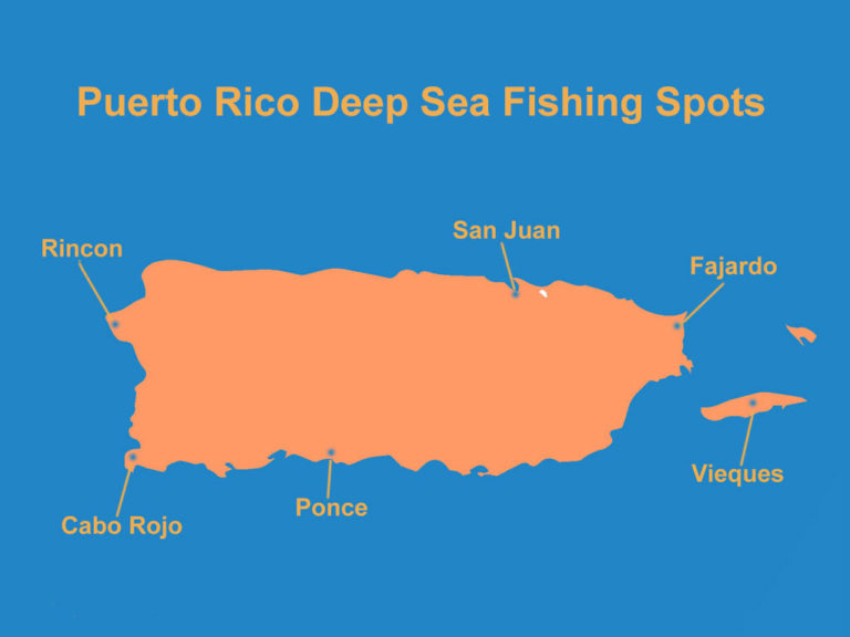 Deep Sea Fishing in Puerto Rico: The Complete Guide for 2024
