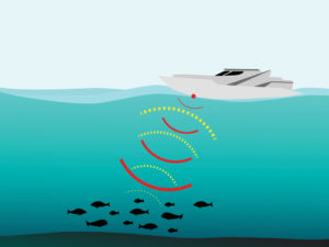 A Beginner’s Guide to Choosing & Using a Fishfinder