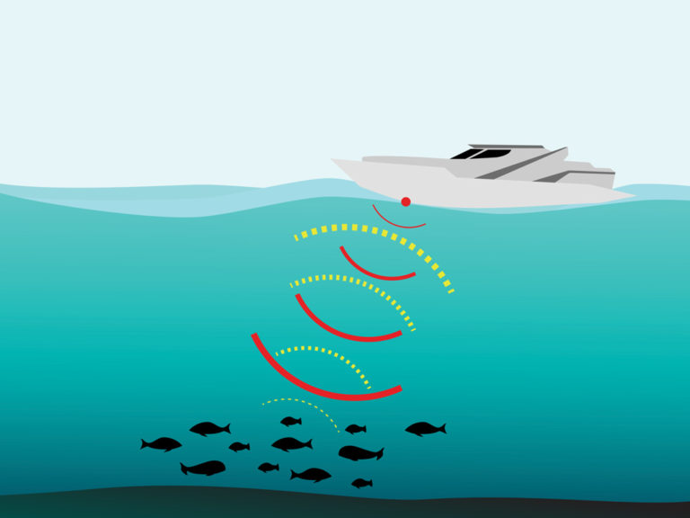 A Beginner’s Guide to Choosing & Using a Fishfinder