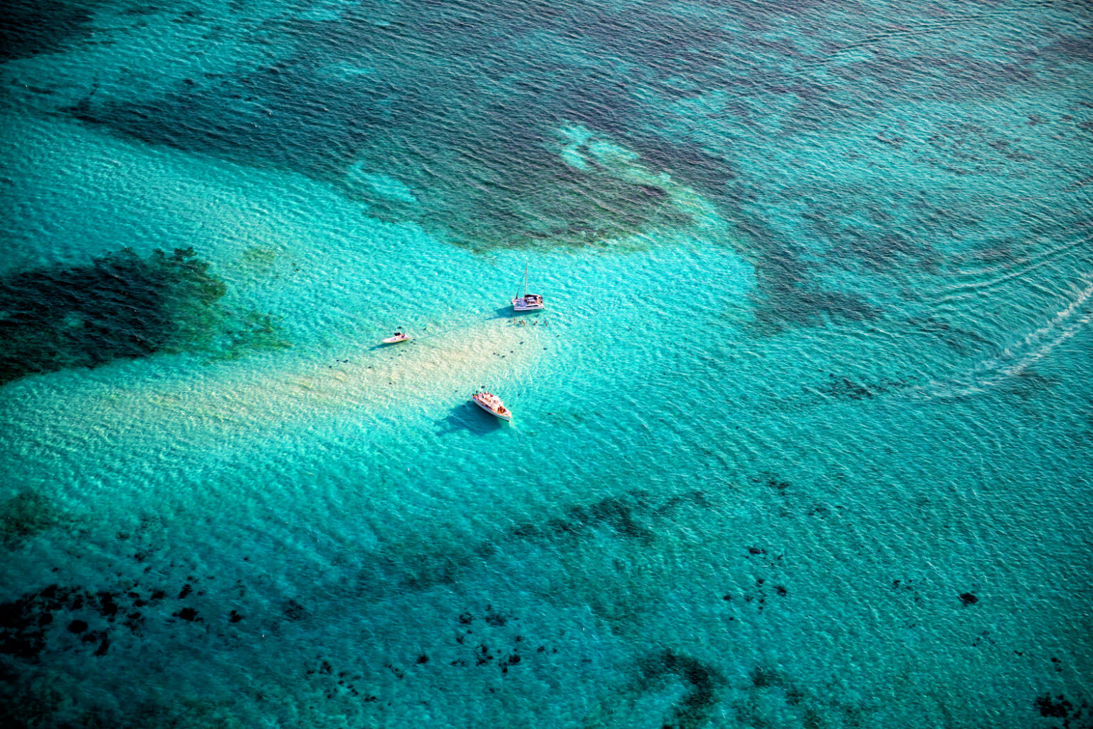 Fishing in CAYMAN ISLANDS: The Complete Guide