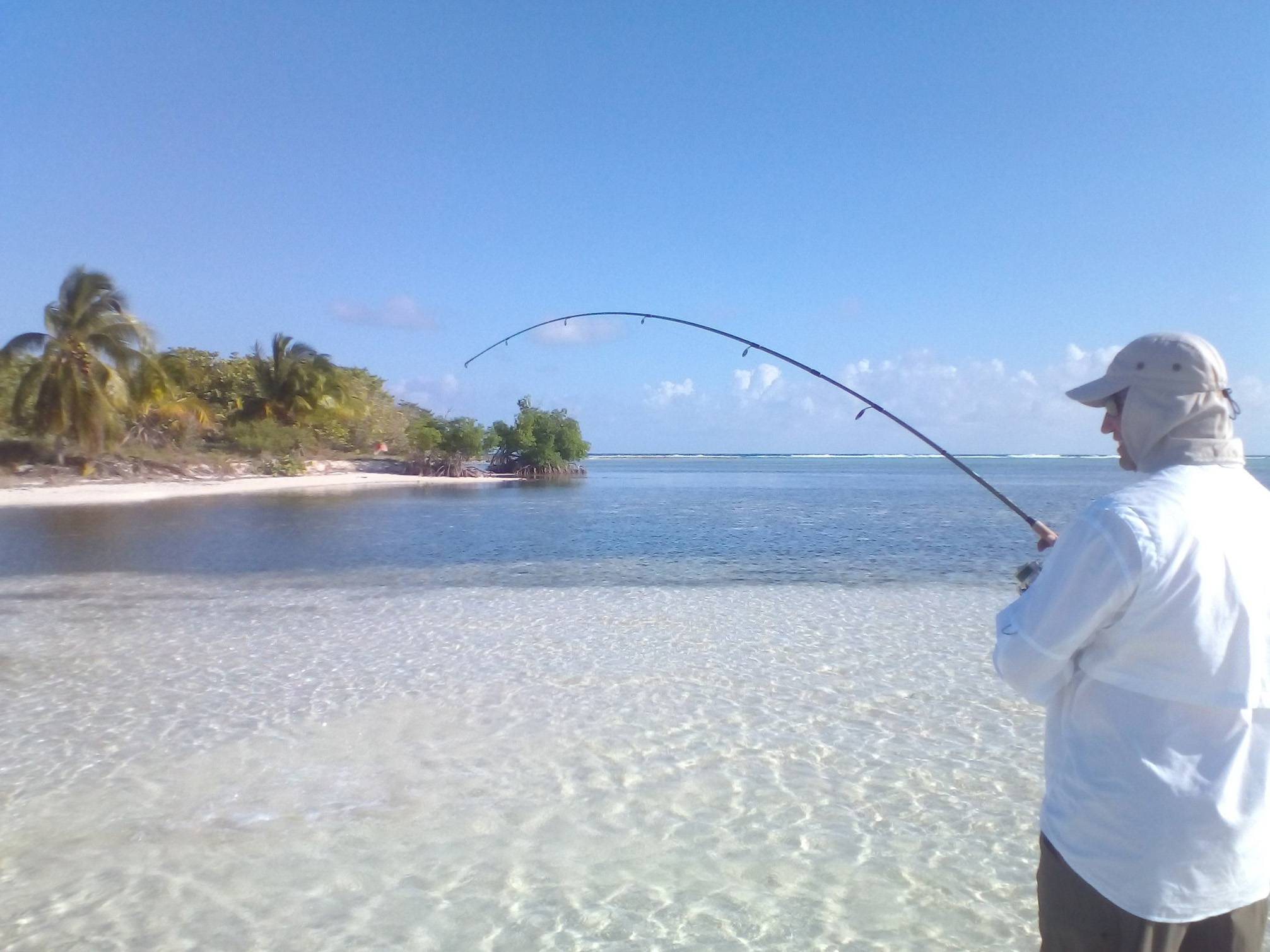 Fishing in CAYMAN ISLANDS: The Complete Guide