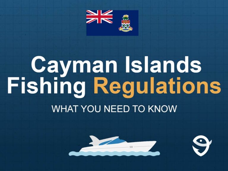 Fishing in CAYMAN ISLANDS: The Complete Guide