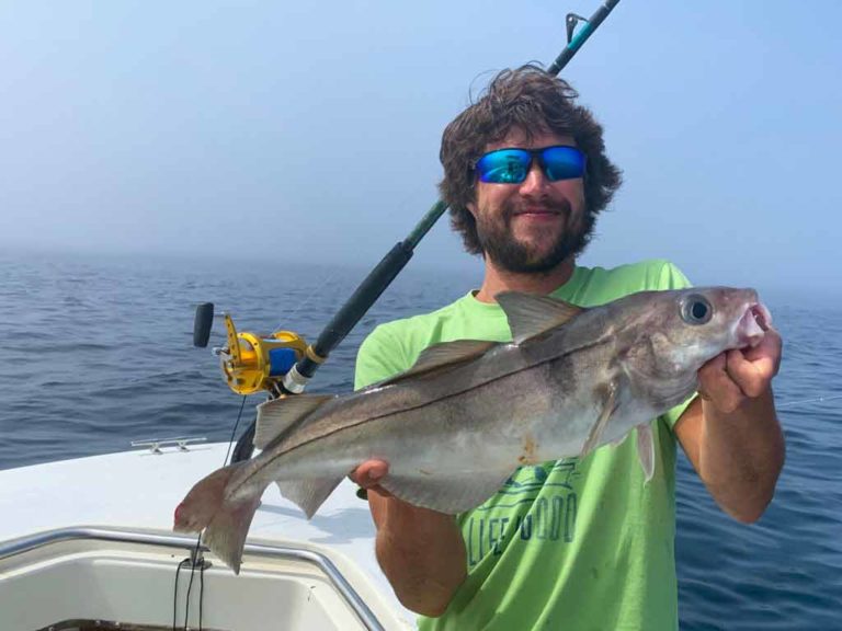 How to Go Deep Sea Fishing on Cape Cod: The Complete Guide for 2026
