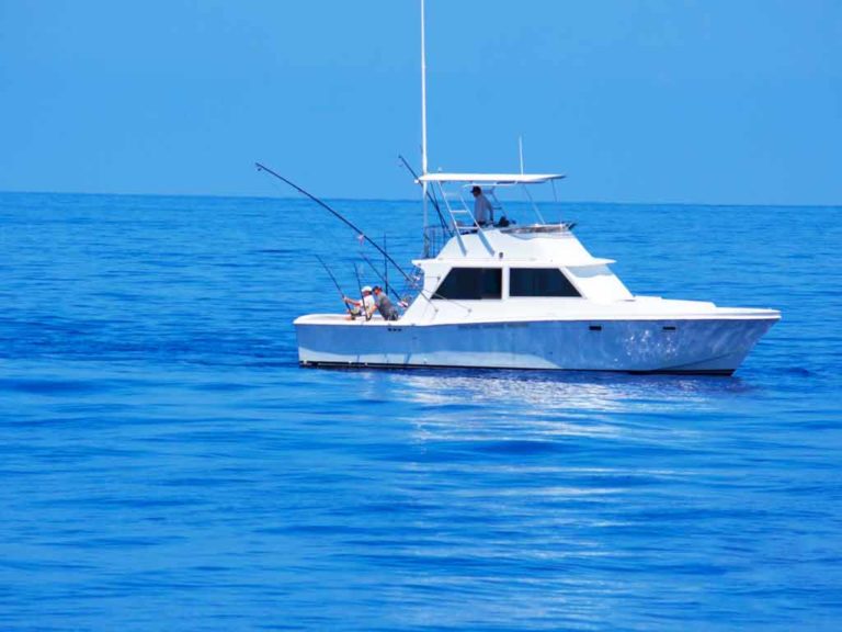 How to Go Deep Sea Fishing in Hawaii: The Complete Guide for 2026 [VIDEO]