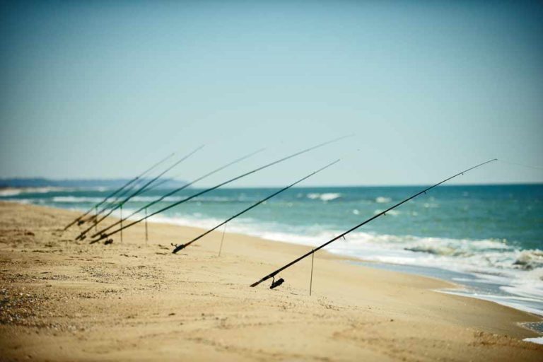 How to Go Surf Fishing: The Complete Guide