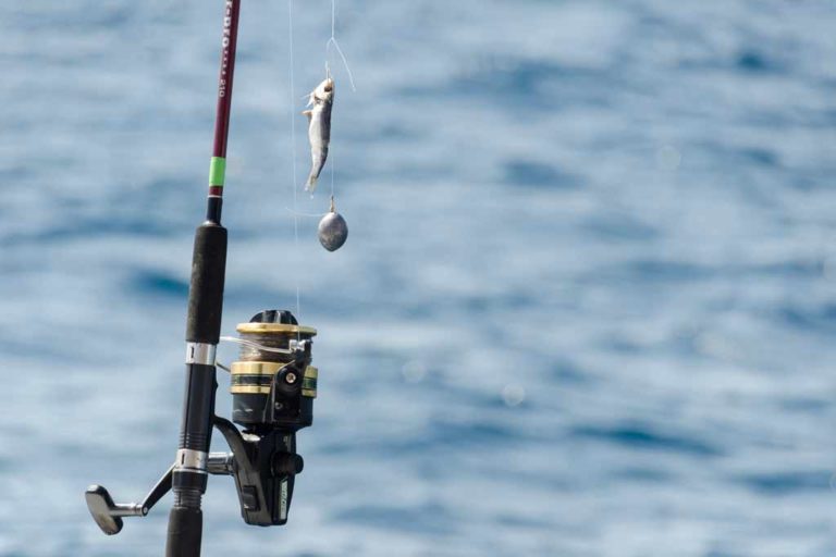 How to Go Surf Fishing: The Complete Guide