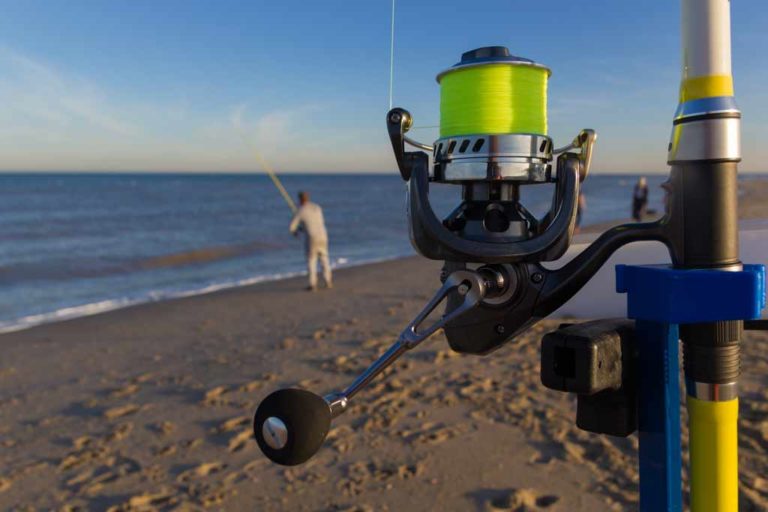 How to Go Surf Fishing: The Complete Guide