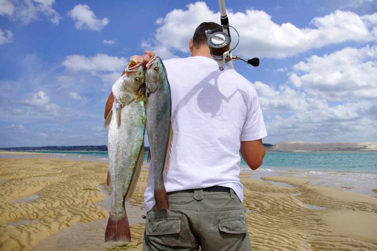 How to Go Surf Fishing: The Complete Guide