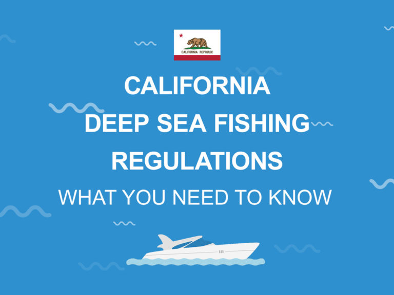 How to Go Deep Sea Fishing in California: The Complete Guide
