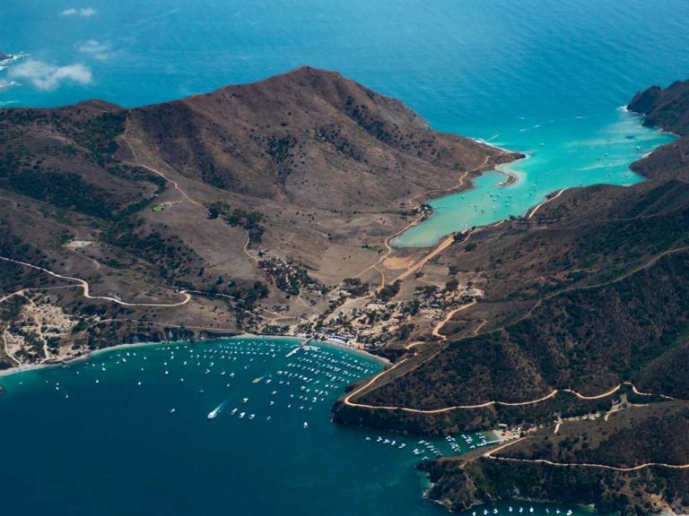 How to Go Deep Sea Fishing in California: The Complete Guide for 2026