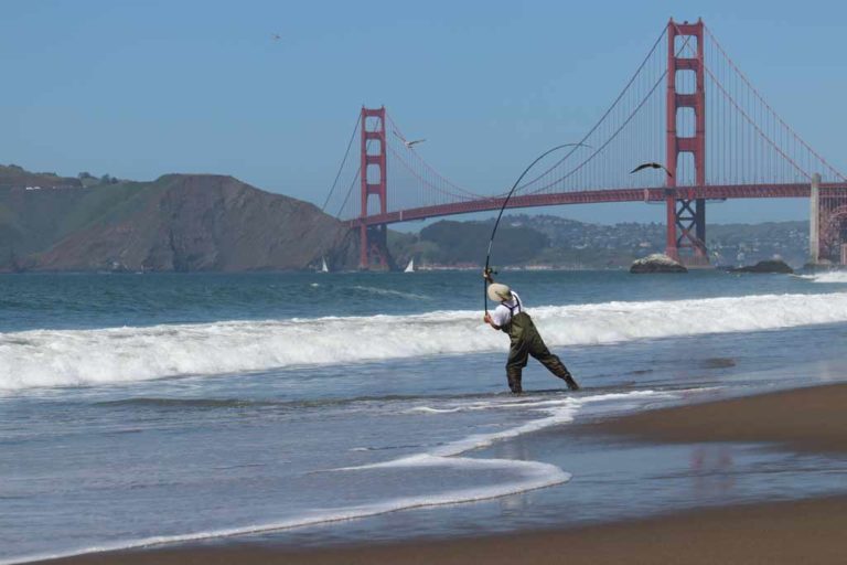 How to Fish for Halibut in California: The Complete Guide for 2024