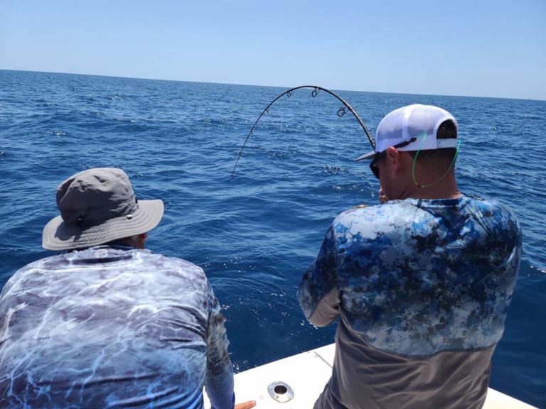 How to Go Bottom Fishing: The Complete Guide