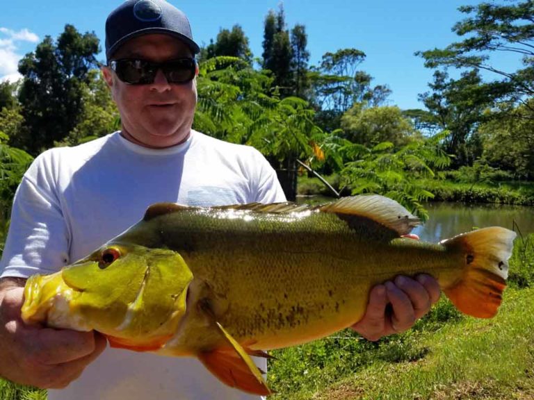 Fishing in KAUAI: The Complete Guide