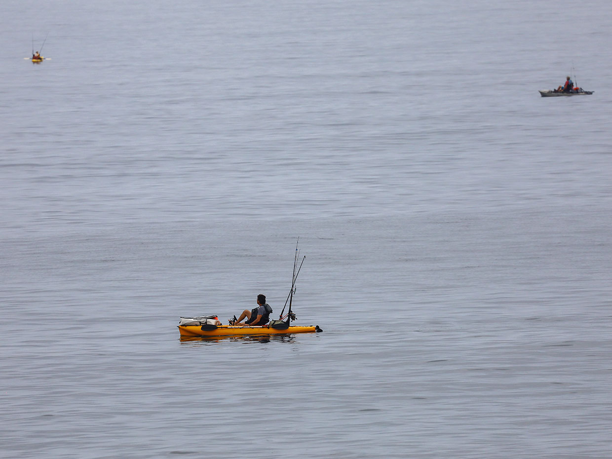 Fishing in HALF MOON BAY: The Complete Guide