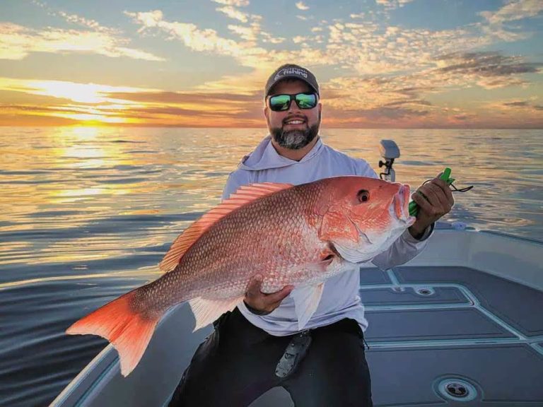 Fishing Seasons in Florida: The Complete Guide for 2026
