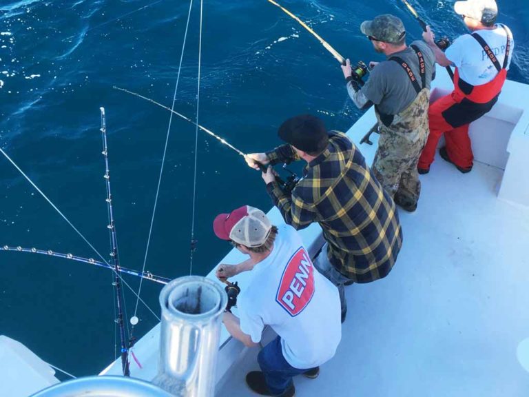 How to Go Bottom Fishing: The Complete Guide for 2026