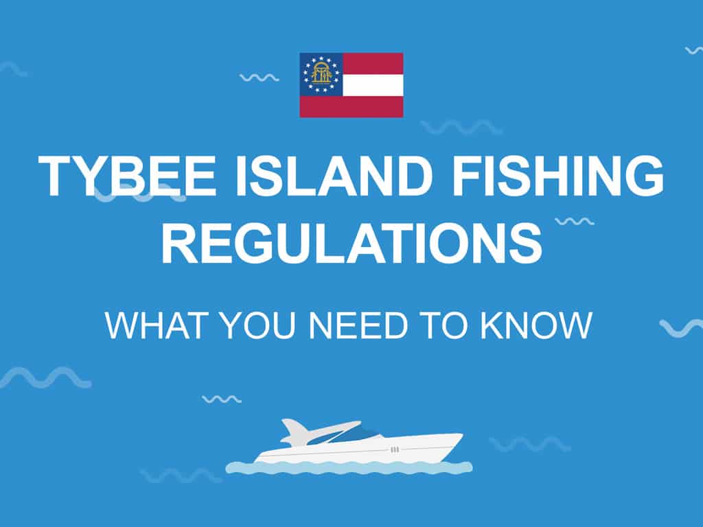 Fishing in TYBEE ISLAND: The Complete Guide
