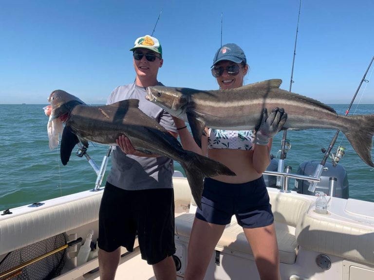 How to Fish for Cobia in the Chesapeake Bay: The Complete Guide for 2024