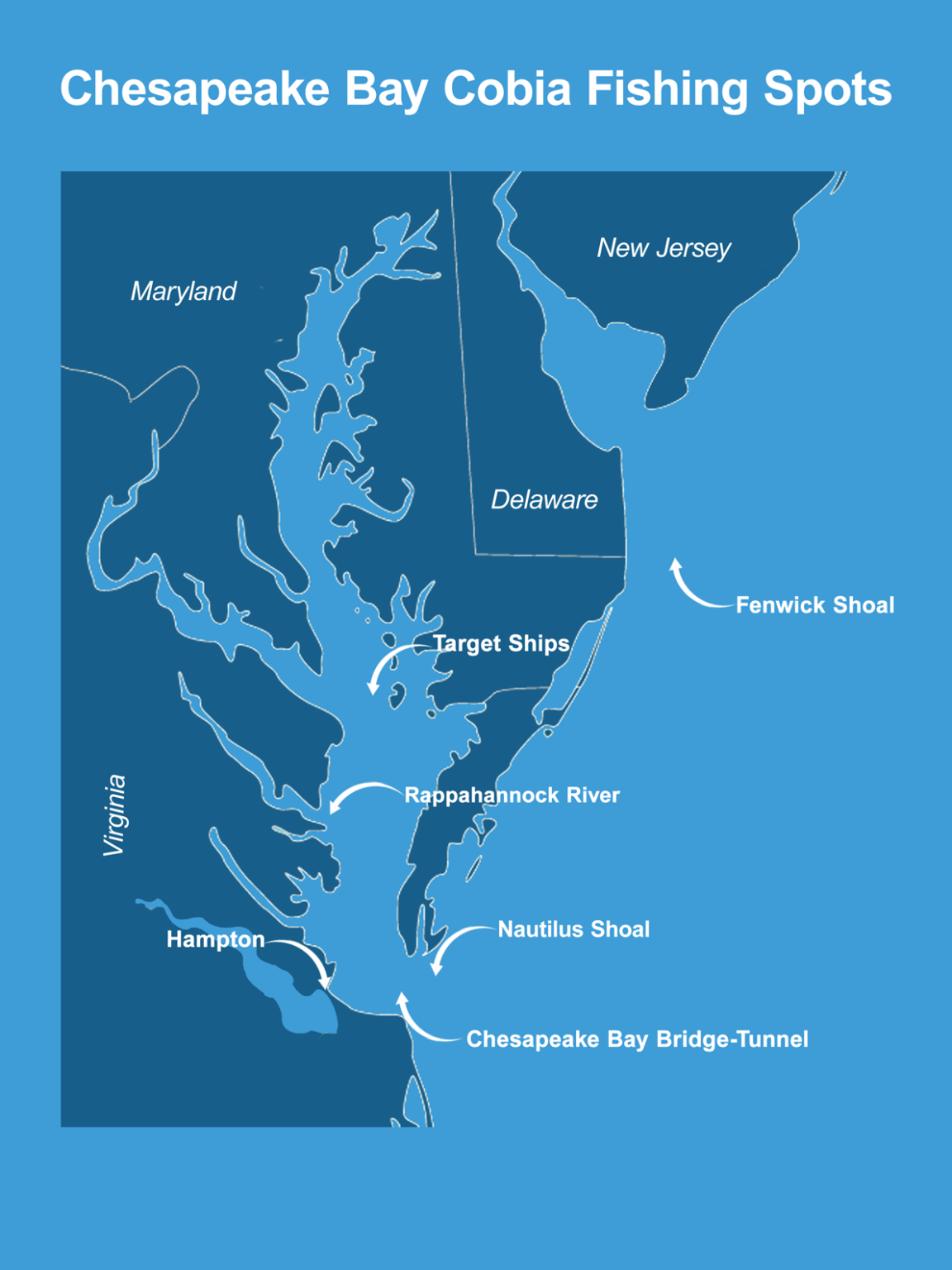 How to Fish for Cobia in the Chesapeake Bay: The Complete Guide for 2024