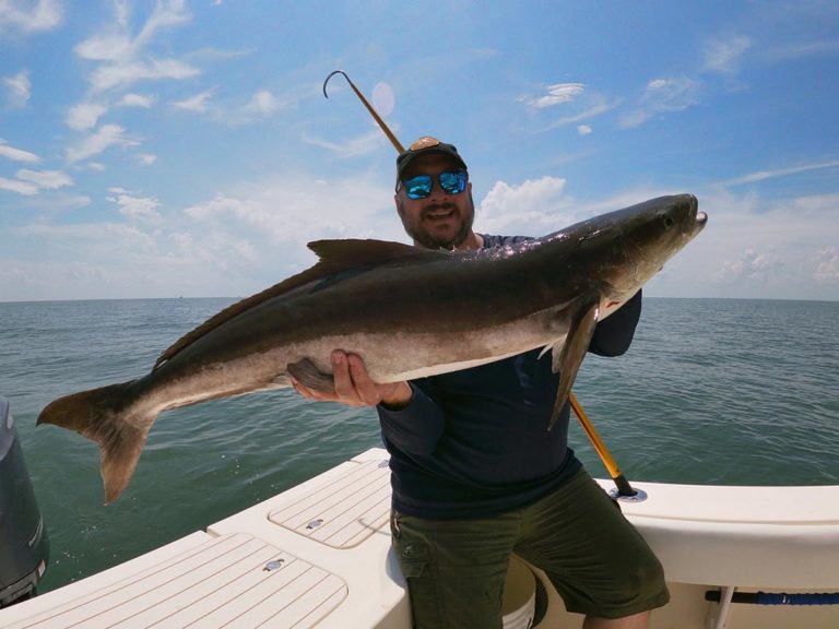 How to Fish for Cobia in the Chesapeake Bay: The Complete Guide for 2026