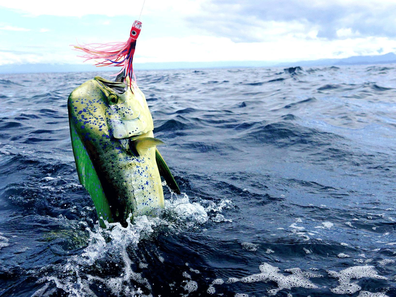 How to Go Trolling: The Complete Guide for 2025