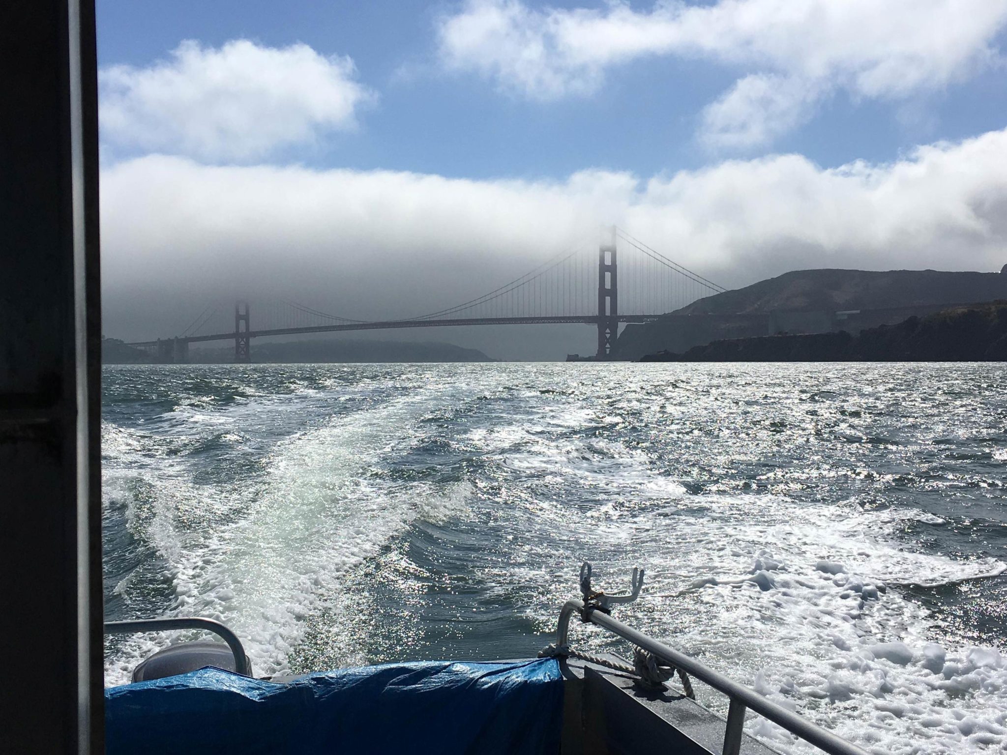 How to Fish for Halibut in San Francisco Bay: The Complete Guide for 2024